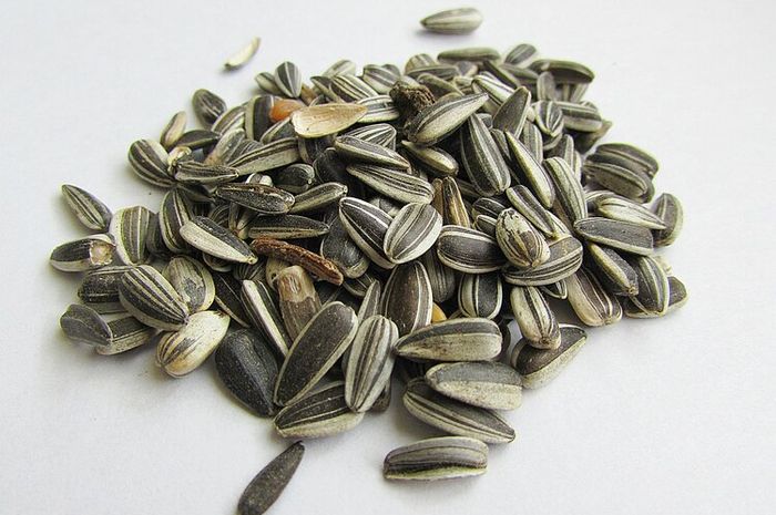 Nyaris Gak Ada yang Sadar, Ngemil Kuaci Ternyata Efeknya di Tubuh ...