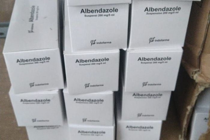 Obat Cacingan untuk Anak yang Aman Dikonsumsi Supaya Kondisi Segera ...