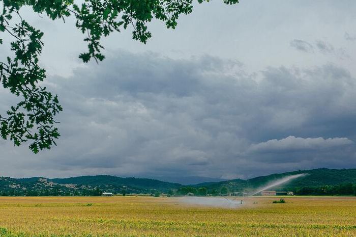 6 Sumber Daya Alam yang Ditemukan di Dataran Rendah, IPAS Kelas 3 SD - Kids