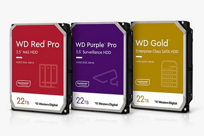 Western Digital Luncurkan HDD 22 TB untuk CCTV, NAS dan Data Center - Info Komputer