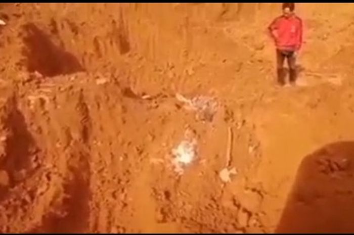 Viral Bansos Presiden Ditimbun di Depok, Begini Klarifikasi Pihak JNE ... Viral Bansos Presiden Ditimbun di Depok, Begini Klarifikasi Pihak JNE ...