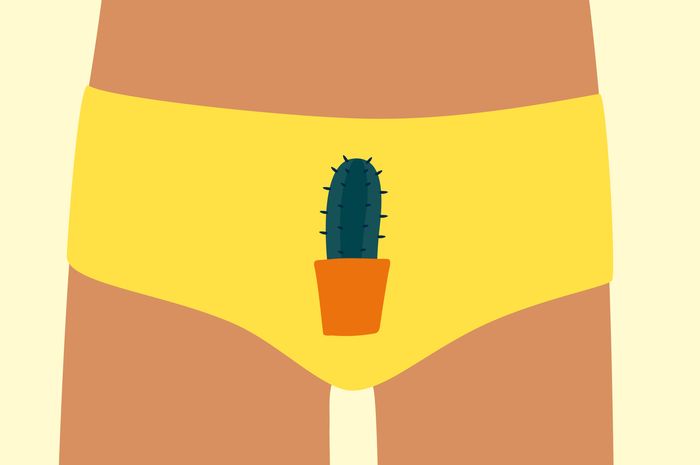 Mengatasi Vagina Kering Saat Bercinta Dengan Cara Alami Patut Dicoba