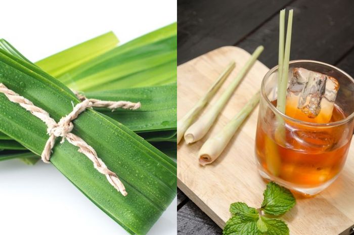 Coba Mulai Hari Ini, Geprek Jahe Lalu Rebus dengan Daun Pandan dan ... Coba Mulai Hari Ini, Geprek Jahe Lalu Rebus dengan Daun Pandan dan ...