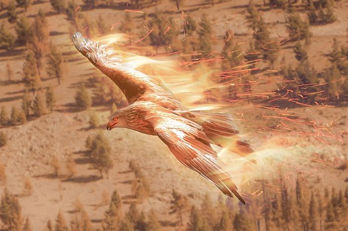 Burung Mitologi yang Sering Muncul dalam Dongeng, Sudah Tahu? - Bobo