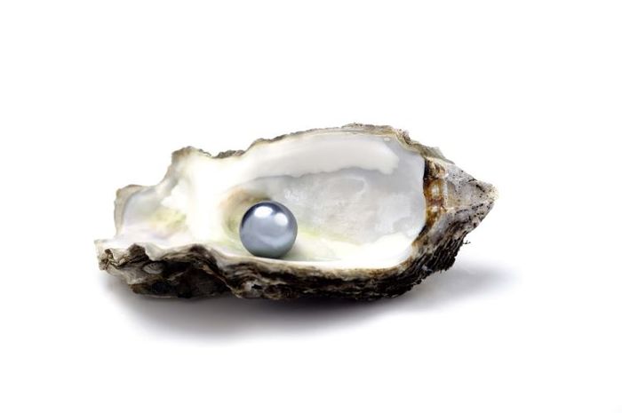 Bagaimana Proses Terbentuknya Mutiara? | Adjar