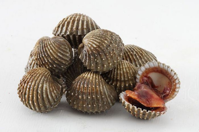 Jika Temukan Tanda-tanda Ini saat Beli Kerang Jangan Dibeli, Ternyata ...