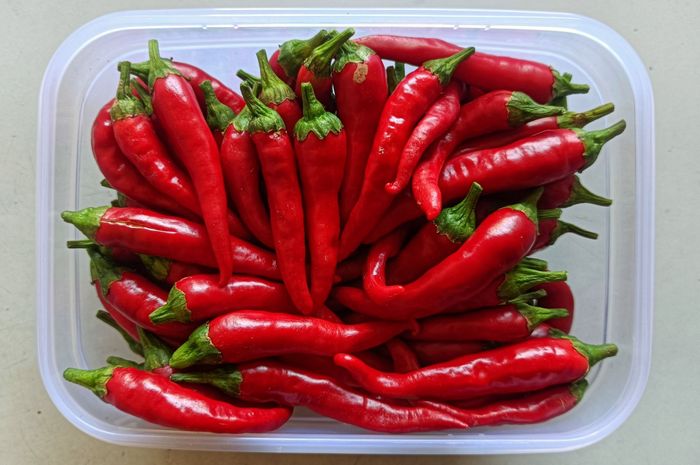 Pantas Tiap Beli Gak Cepat Busuk, Ternyata Mama Mertua Selalu Gunakan 1 ...