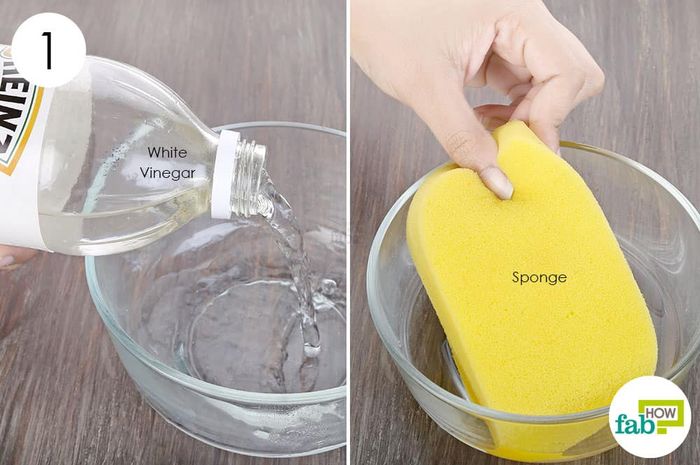 Tolong Kasih Tahu Pembantu, 3 Kali Sehari Coba Rendam Spons Cuci Piring ...