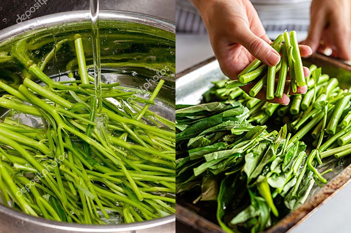 Cuma Emak-emak Pintar yang Tahu! Ternyata Begini Cara Cuci Kangkung ... Cuma Emak-emak Pintar yang Tahu! Ternyata Begini Cara Cuci Kangkung ...