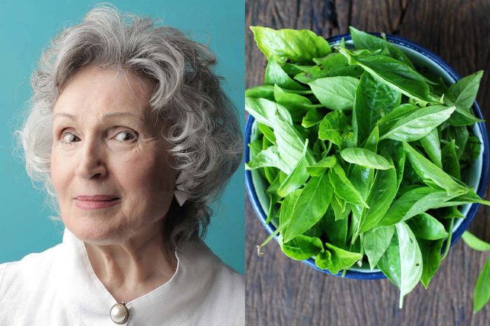 Ada Banyak di Pasar, Daun Kemangi yang Diolah Seperti Bikin Rambut Hitam Legam Tanpa Uban, Gak ...