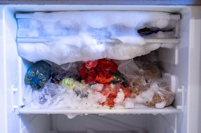 Tips Hidup, Bunga Es di Freezer yang Kerap Dianggap Sepele Nyatanya ...