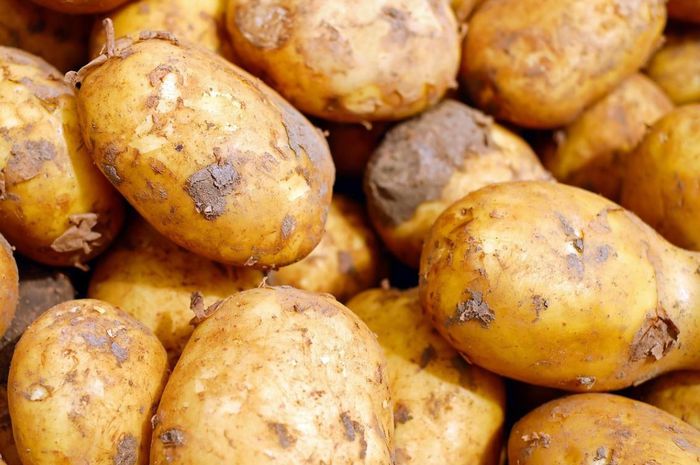 Bisa-bisa Langsung Busuk, Jangan Simpan Kentang Disamping Bahan Makanan ...