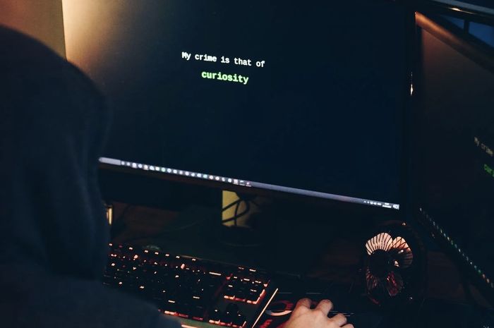 Sosok dan Arti Nama Bjorka, Nama Samaran yang Dipakai Hacker Viral - Nova Sosok dan Arti Nama Bjorka, Nama Samaran yang Dipakai Hacker Viral - Nova
