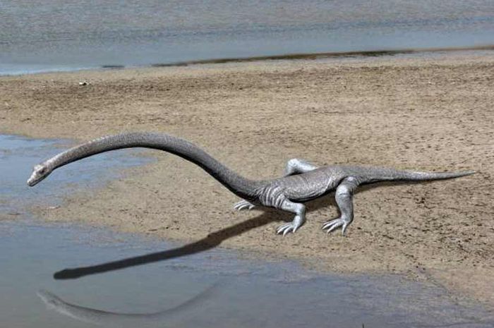 Dinosaurus Tanystropheus Gunakan Leher Panjang Untuk Bertahan Hidup ...