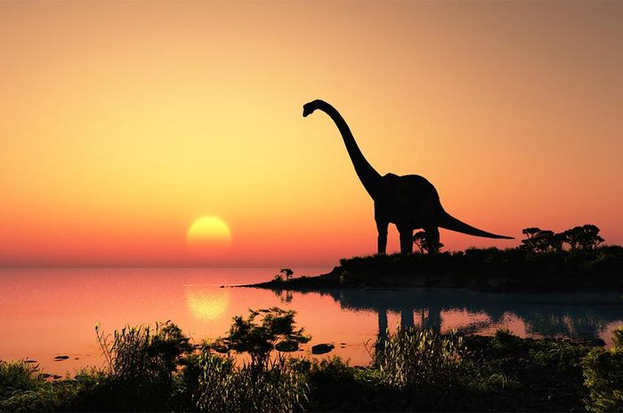 Bukan 24 Jam, Inilah Satu Hari di Zaman Dinosaurus Berlangsung ...