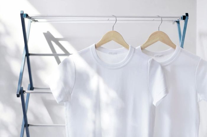 Pantas Baju Putih Mertua Gak Dekil sampai Puluhan Tahun, Rahasianya Ada ... Pantas Baju Putih Mertua Gak Dekil sampai Puluhan Tahun, Rahasianya Ada ...
