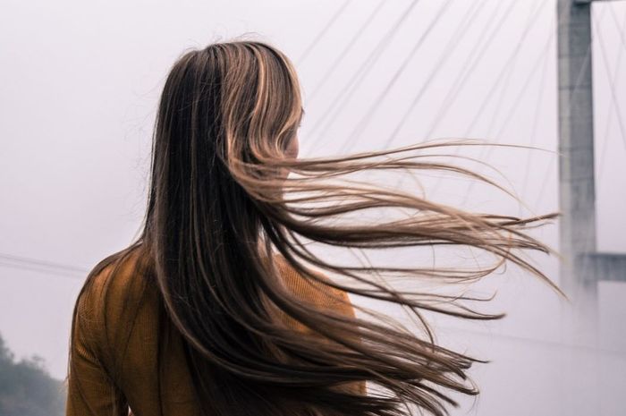 Seperti Rapunzel, Ternyata Sehelai Rambut Kita Bisa Menopang 2 Batang ...