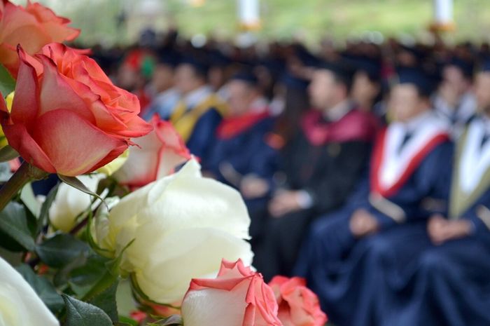 Punya Makna Kekaguman dan Kehormatan, Ini 5 Jenis Bunga yang Cocok untuk Hadiah Kelulusan - Bobo