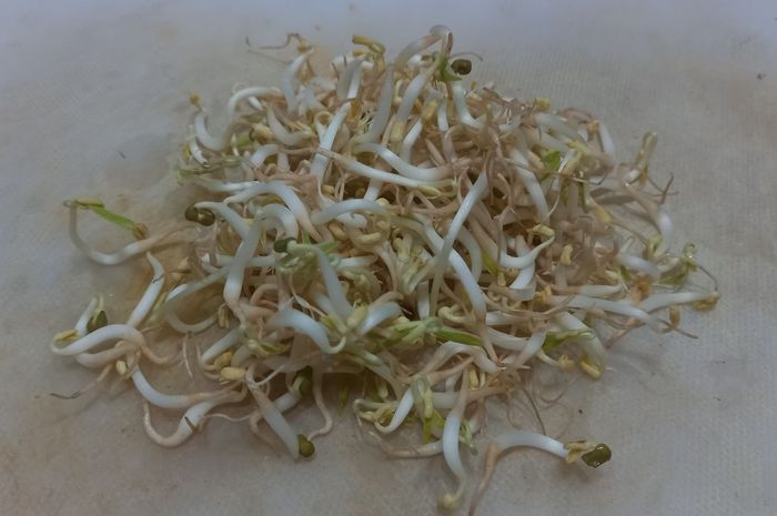 6 Manfaat Makan Toge Setiap Hari, Hanya Butuh Waktu 2 Menit Rebus Toge ...