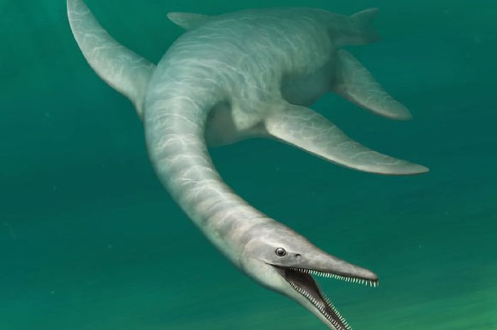 Serpentisuchops pfisterae, Plesiosaurus Baru Mirip Buaya dari Wyoming ...