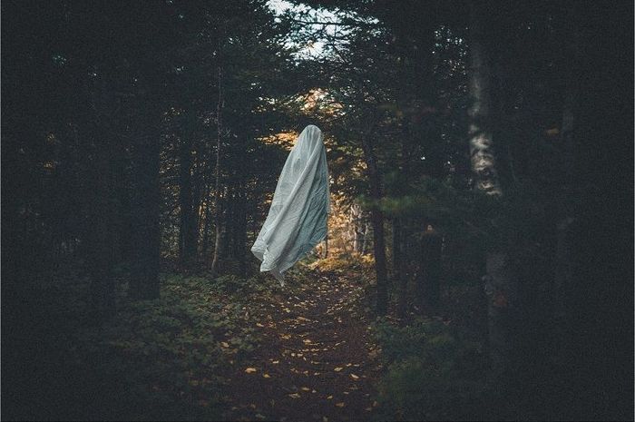 Budi Pekertinya Tinggi, 3 Weton Ini Dipercaya Bisa Buat Jin Khodam Bolo ...