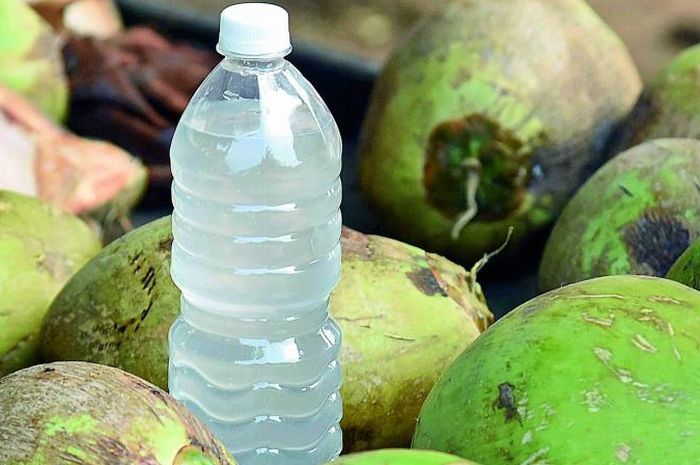 Aturan Minum Air Kelapa Sesuai Jam, Kalau Mau Khastinya Gak Sia-sia Mending Minum Sesuai Waktu ...