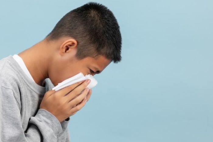 Benarkah Kita Tidak Boleh Buang Ingus Terlalu Keras? Dokter Beri ...