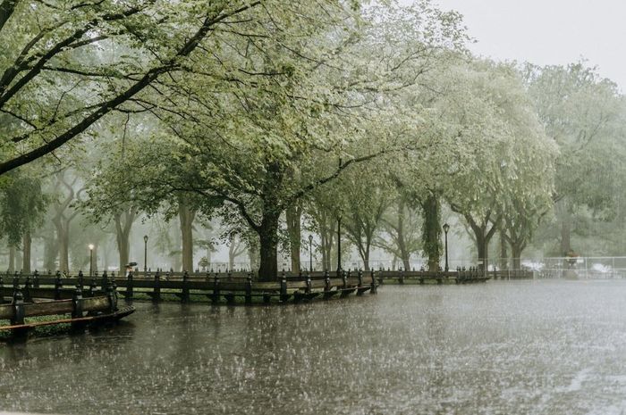 Bagaimana Proses Terjadinya Hujan Asam? Ini Penyebab, dan Dampaknya - Bobo