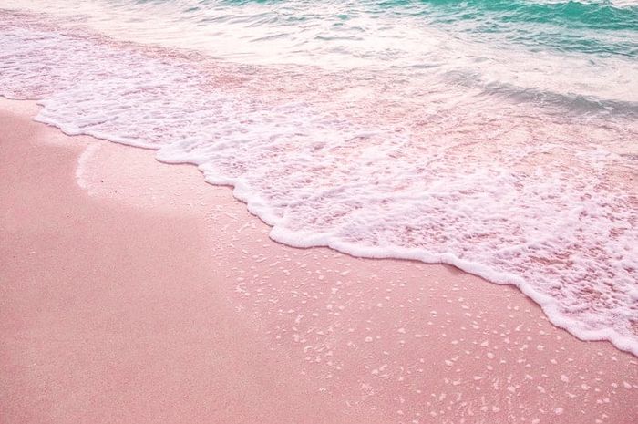 Mengapa Pasir di Pantai Ada yang Berwarna Pink? - Adjar