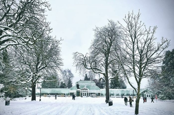 Indonesia Terdampak Efek Musim Dingin La Nina Terpanjang Tahun Ini ...