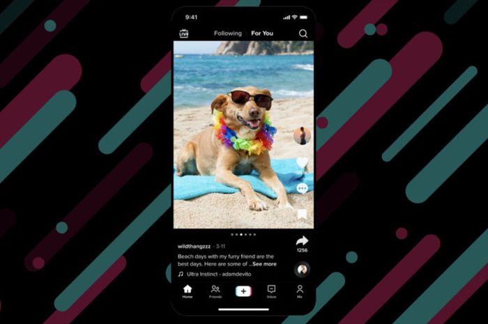 TikTok Menambahkan Mode Berbagi Foto, Mirip dengan Instagram! - Nextren.grid.id