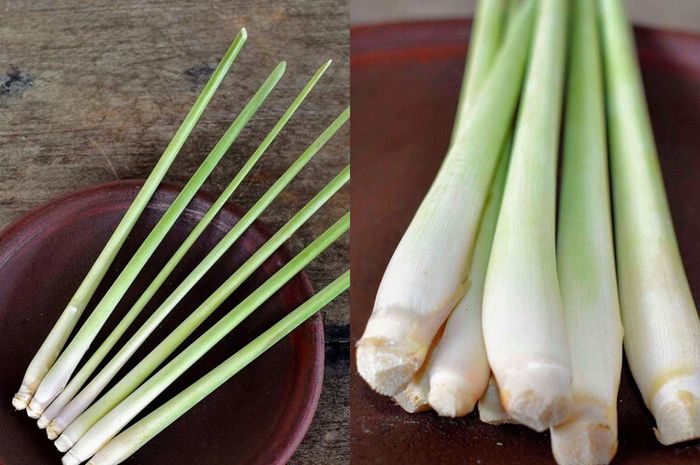 Berminggu-minggu Gak Layu, Cara Menyimpan Batang Serai di Kulkas ...