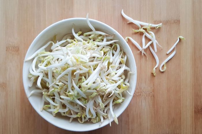 Cara Simpan Taoge Segar di Dalam Kulkas Agar Tidak Layu, Segarnya ...