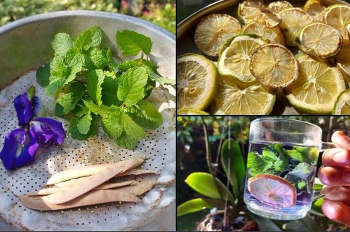 Pagi-pagi Seduh Bunga Telang, Lemon dan Daun Mint, Pria ini Seumur ...
