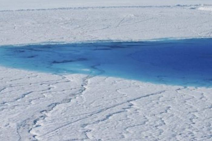 Gletser yang Bergerak Cepat Berkontribusi pada Kenaikan Permukaan Laut ...
