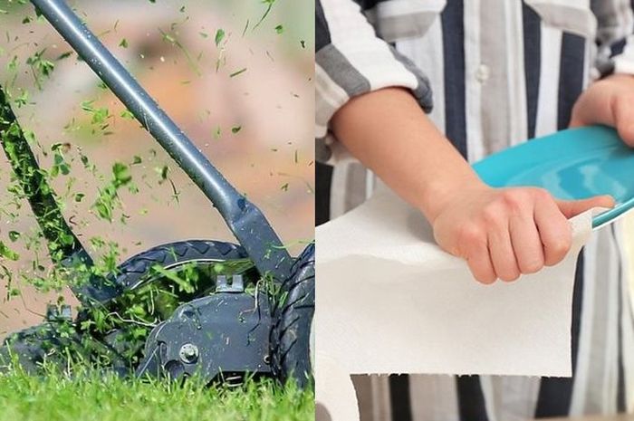 BERITA POPULER : Trik Memangkas Rumput Liar dengan Cara Alami Sampai ...