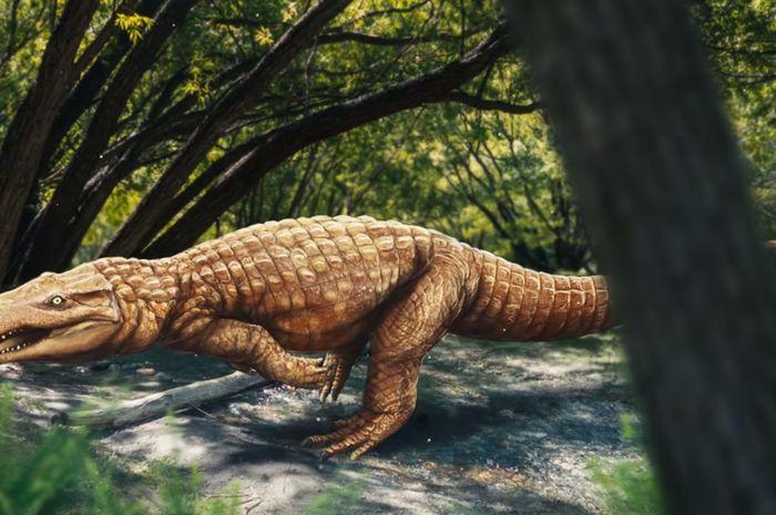 Monster Purba Ini Buktikan Buaya Dulunya 'Berjalan Tegak' dengan 2 Kaki ...