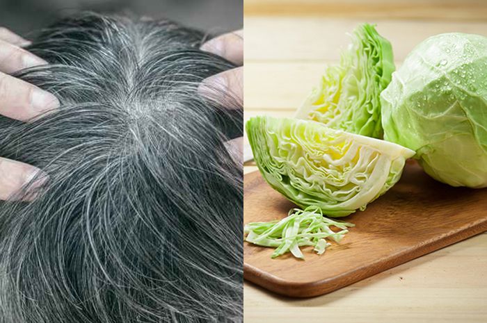 Jarang Ada yang Tahu, Sayur Kol Ternyata Sanggup Hilangkan Uban Sampai ... Jarang Ada yang Tahu, Sayur Kol Ternyata Sanggup Hilangkan Uban Sampai ...