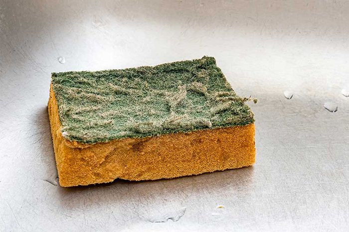 Warnanya Sudah Dekil Banget, Begini Cara Membersihkan Spons Cuci Piring ...