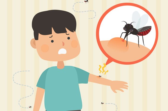 Cara Mengatasi Wabah Demam Berdarah, Materi Kelas 3 SD Tema 4 - Bobo