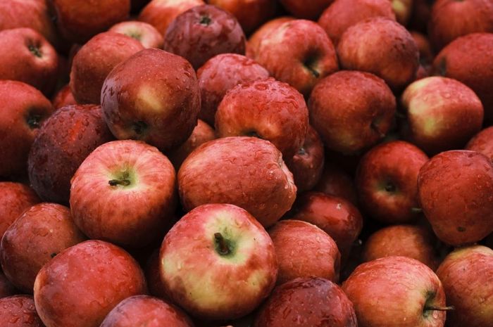 Paru-Paru Jadi Lebih Sehat, Ini 5 Makanan yang Baik untuk Pernapasan - Bobo