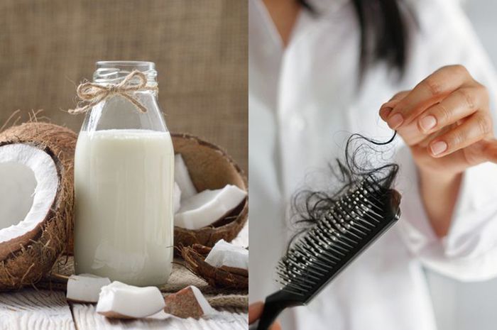 Wah Gak Nyangka Ternyata Selama Ini Santan Kelapa Bisa Atasi Rambut Rontok Cara Pakainya