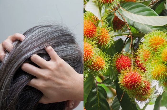 Semir Rambut Kalah Ampuh, Cara Lenyapkan Uban Sampai ke Akar Ternyata ...
