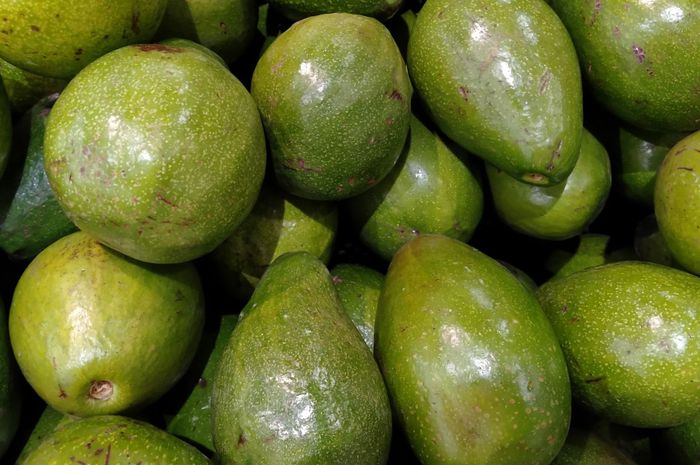 5 Manfaat Makan Alpukat Mentah Bagi Kesehatan Tubuh, Berkhasiat untuk ...