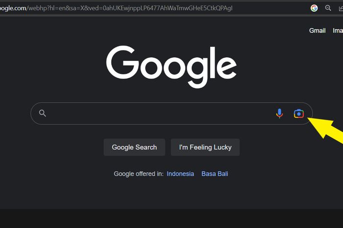 Saingi Microsoft Bing, Google Lens Kini Hadir Di Halaman Google Search ...
