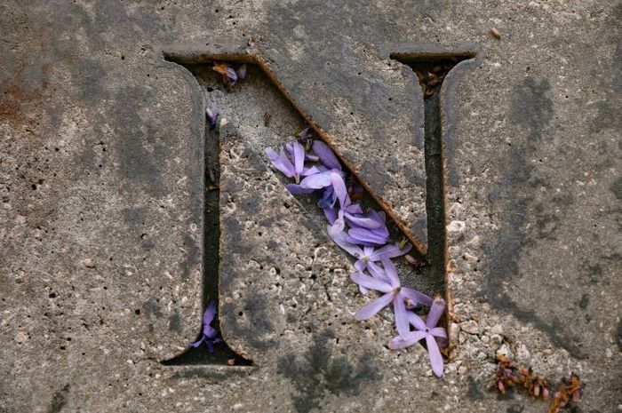 11 Sinonim Bahasa Jawa atau Tembung Padha Tegese Berawalan Huruf N - Adjar