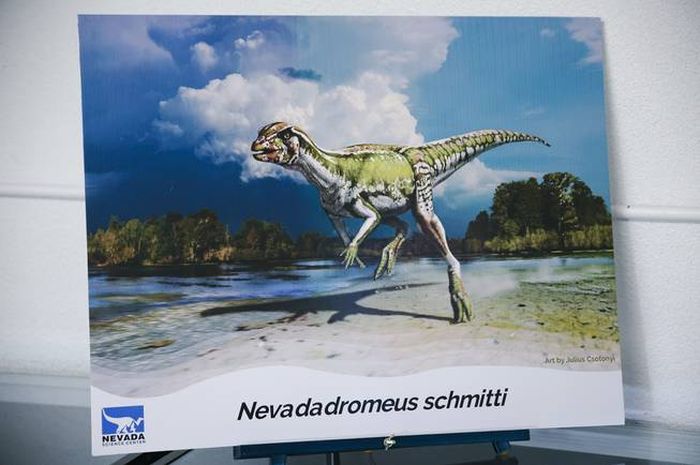 Paleontolog Menemukan Dinosaurus Pemakan Tumbuhan baru di AS - National ...