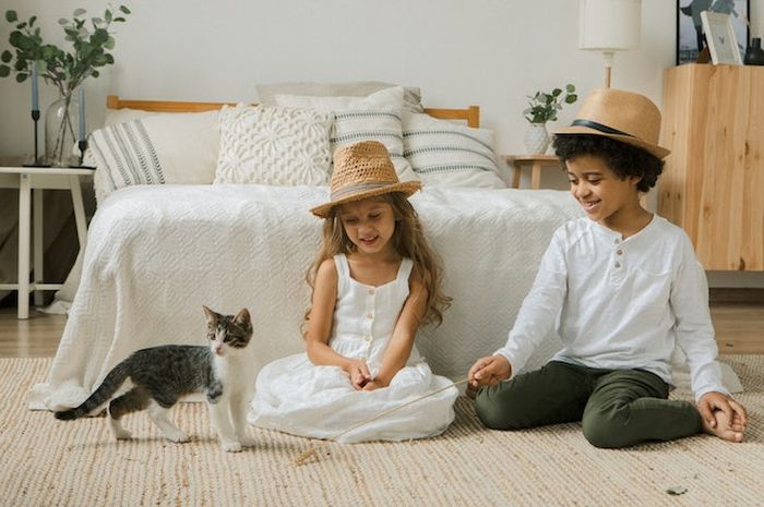 Lirik dan Terjemahan Lagu Meong Meong yang Berasal dari Bali serta ...