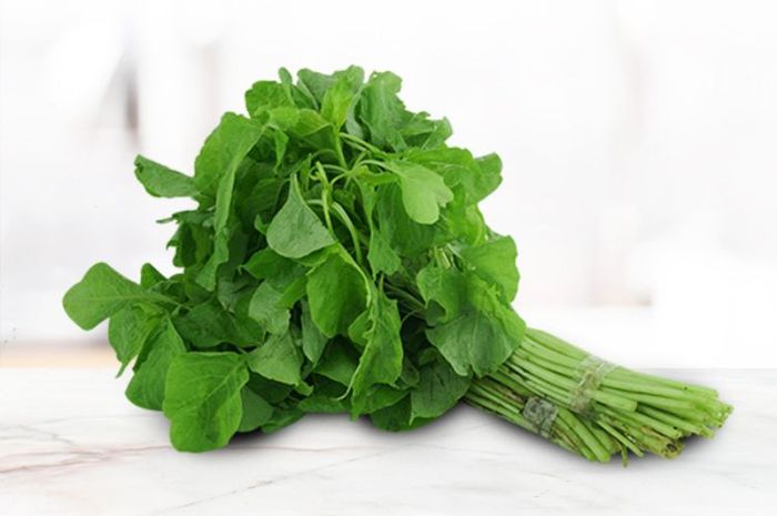 Tips Menyimpan Bayam di Kulkas Agar Tidak Layu dan Menghitam, Bungkus ...