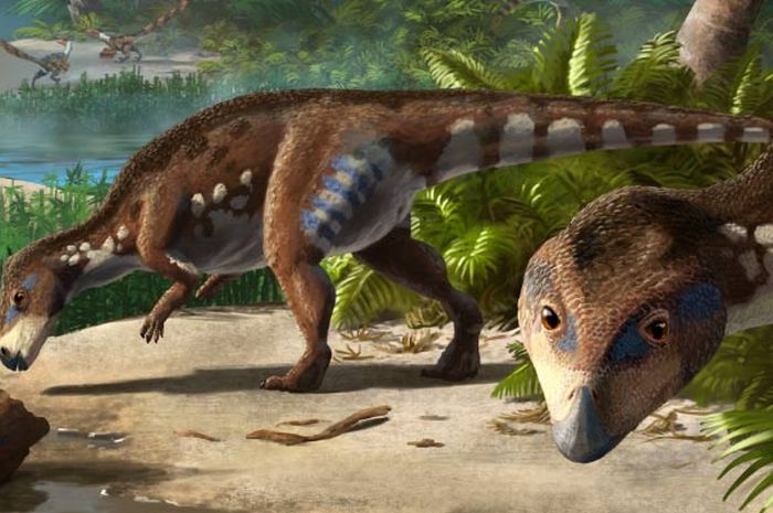 Transylvanosaurus platycephalusm, Spesies Baru Dinosaurus Herbivora - National Geographic